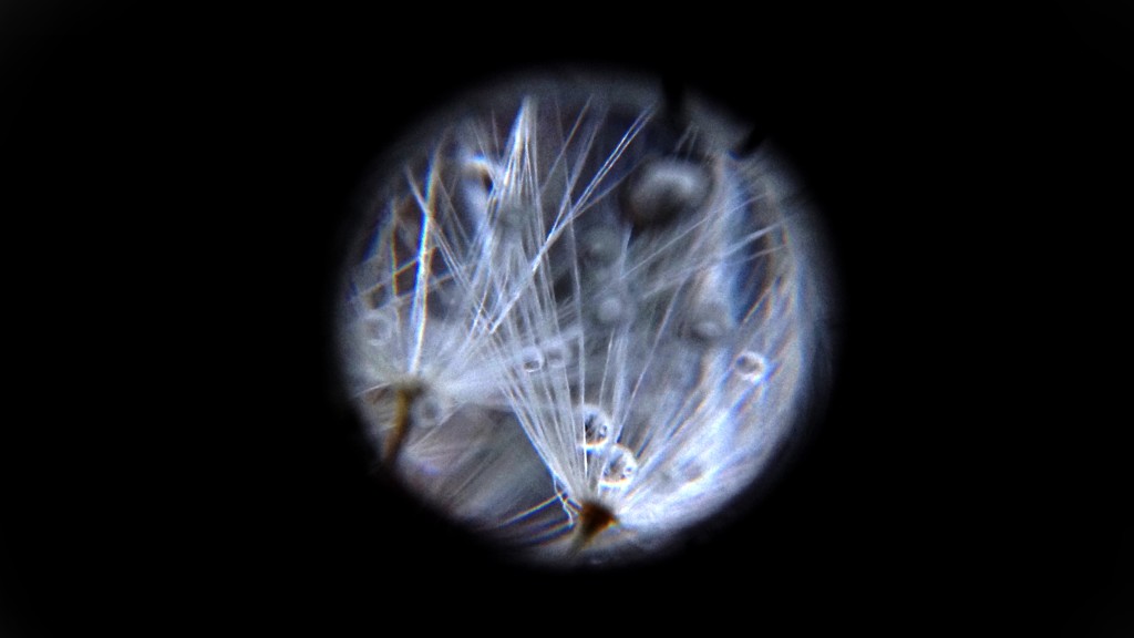 MICRO PLANET - Laura Jade