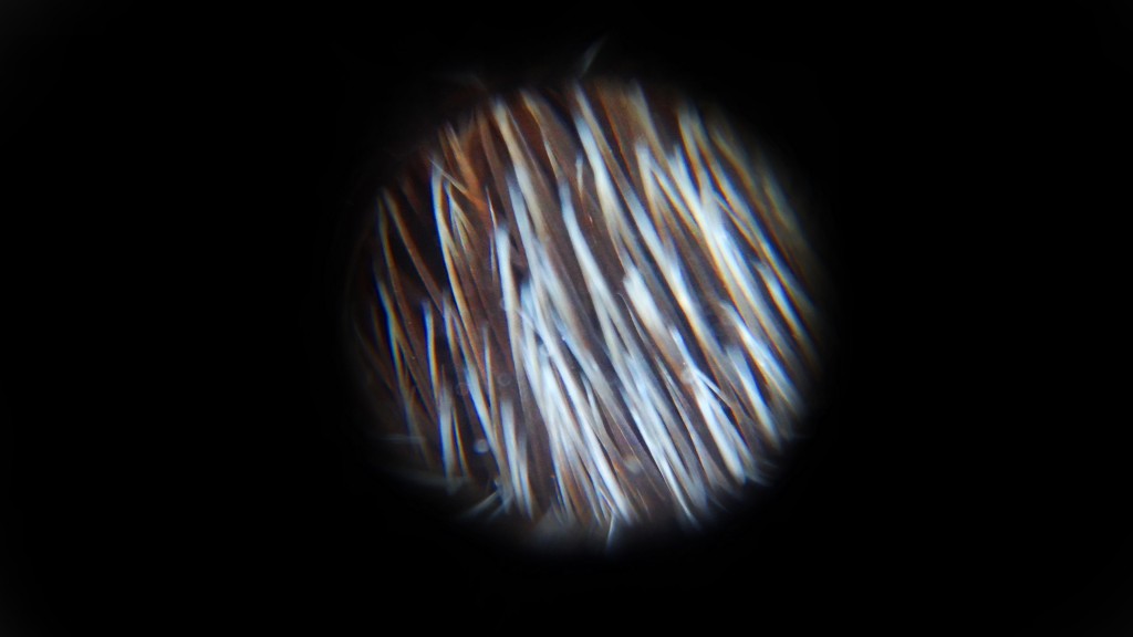 MICRO PLANET - Laura Jade