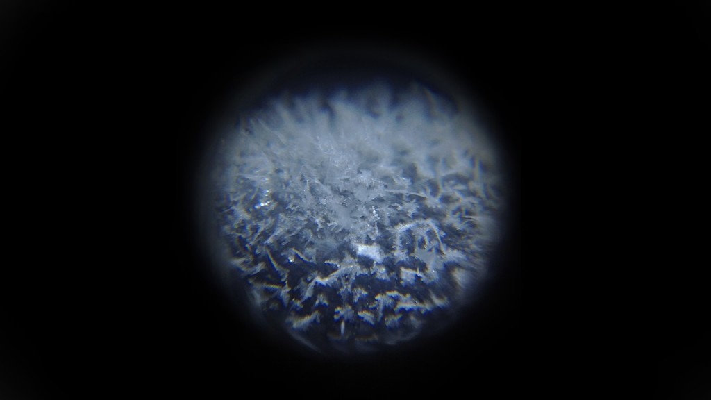 MICRO PLANET - Laura Jade