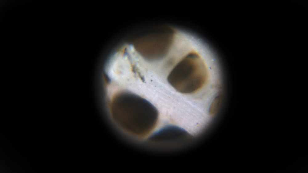 MICRO PLANET - Laura Jade