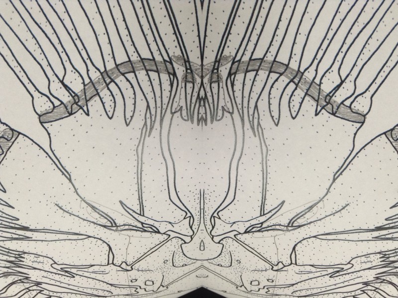 ICHTHYO - Laura Jade